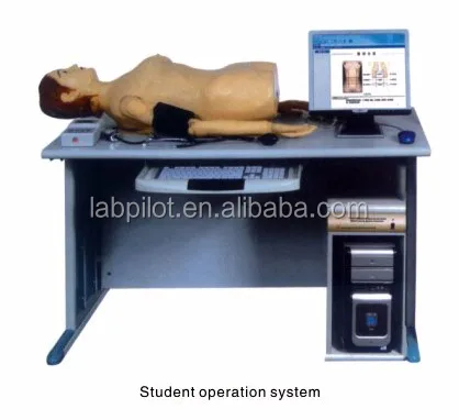 Abdominal Auscultation And Palpation Manikin,Blood Pressure Measurement ...