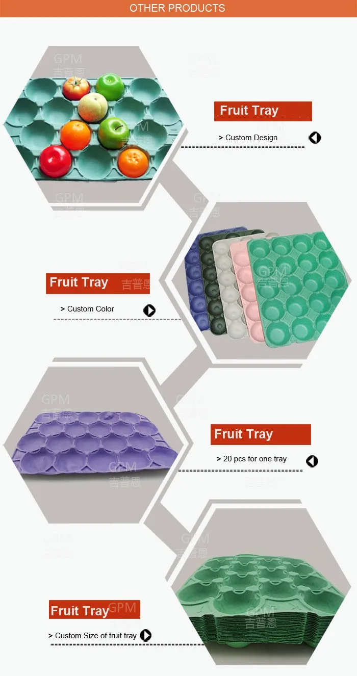 Custom Color Biodegradable Paper Pulp Fruit Box for Berries