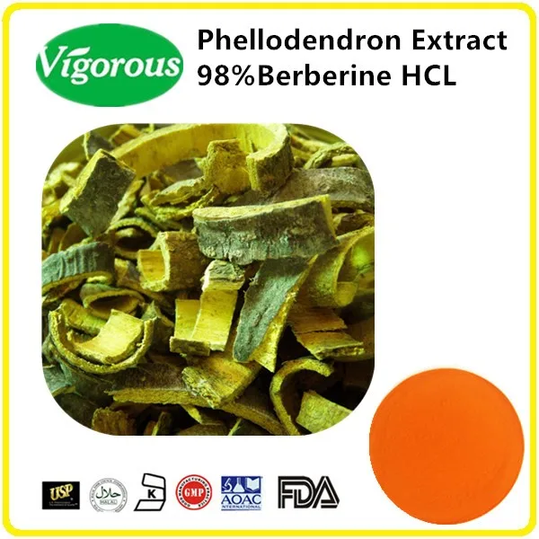 Natural 98% Berberine Hcl Phellodendron Amurense Bark Extract Powder ...