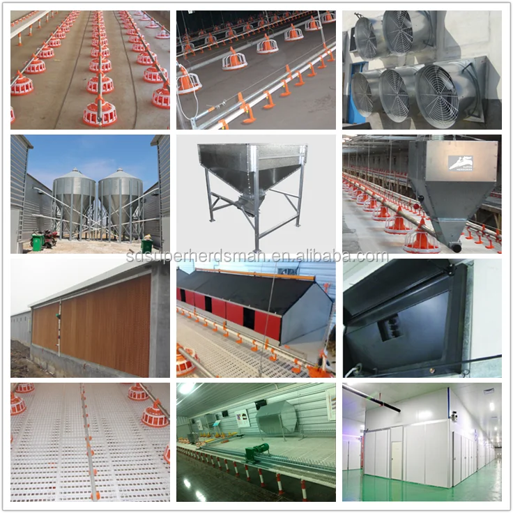 High Quality Automatic Environment Controller For Poultry House - Buy ...