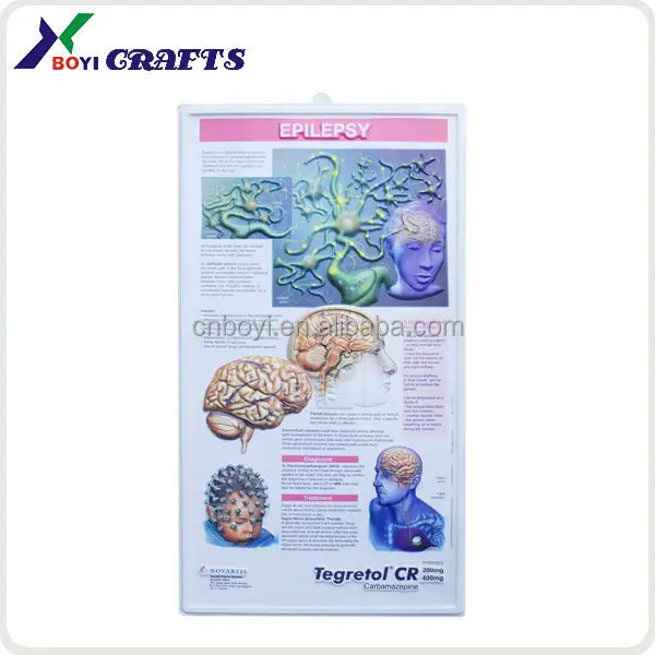 Cheap Custom 3d Embossed Anatomical Chart - Buy 3d Embossed Anatomical ...