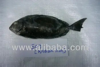 Safi (rabbit Fish) - Buy Safi Rabbit Fish Product on Alibaba.com