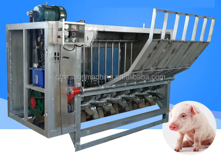 Pig Scalding Dehair Machine - Efficient Slaughterhouse Solutions