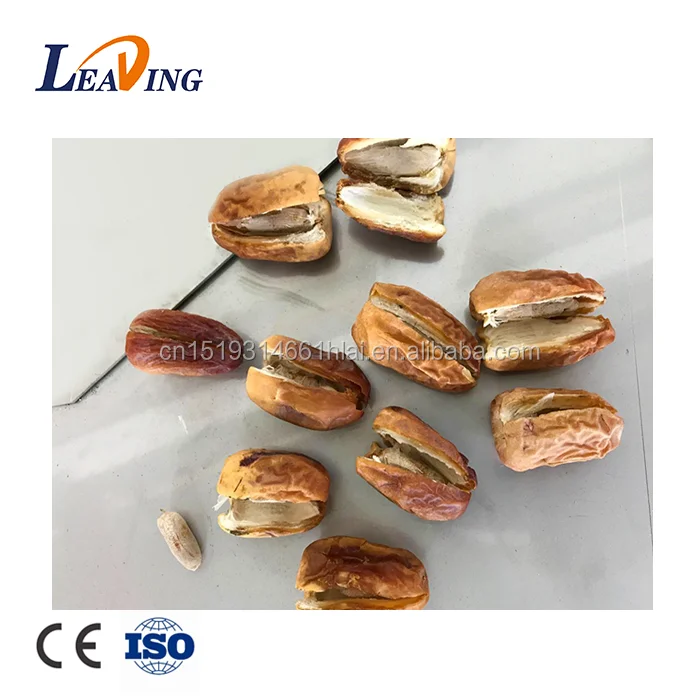 Industrial Dates Processing Machinery - Dry Dates Cutting Machine