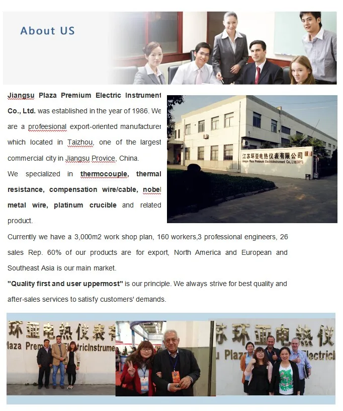 Platinum Mesh Electrodes - 99.95% Pure Pt Material