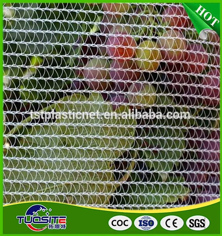 Fruit/crops Protection Net From Hail Damage For Gardens Hdpe Hail Guard ...