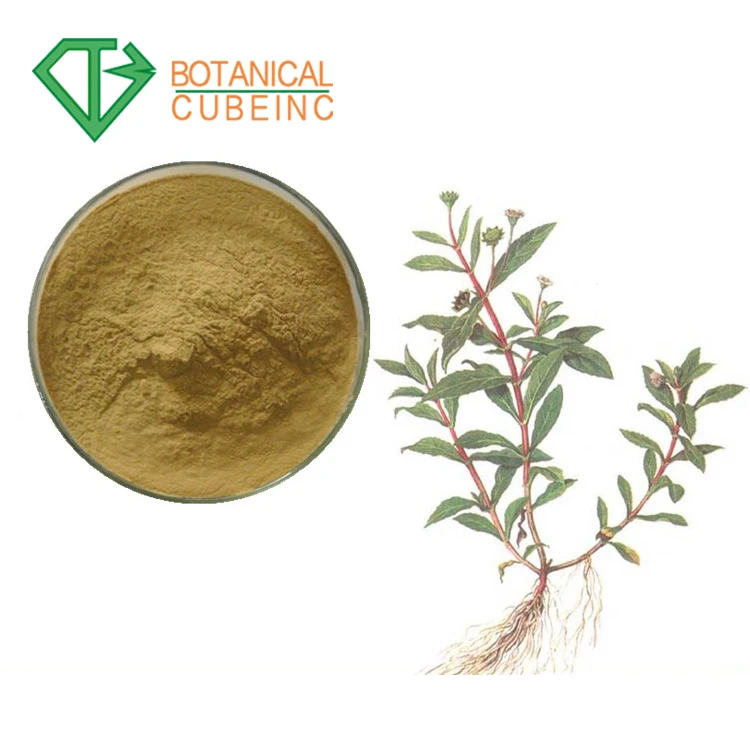 Herba Ecliptae - 100% Natural Eclipta Prostrata Extract