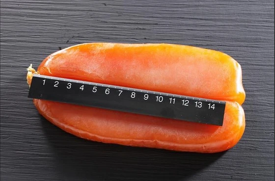 Wholesale Health Grey Mullet Fish Eggs - Buy Grey Mullet Fish Eggs,Grey ...