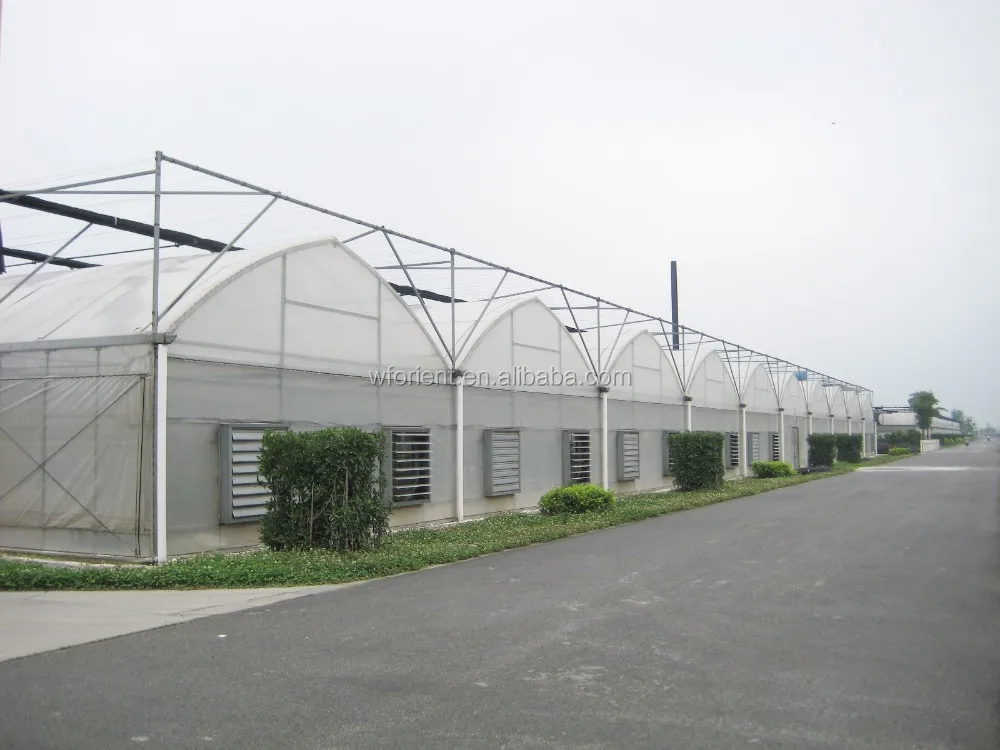 Agricultural Greenhouse Israel for Sale - Durable & Efficient