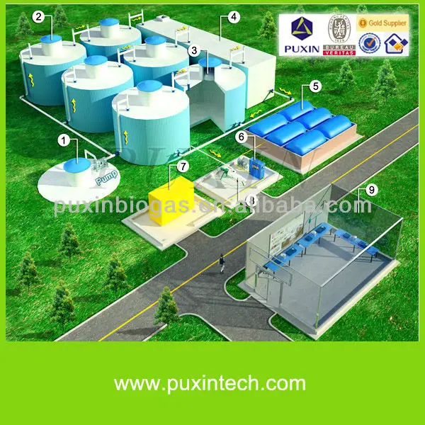 Chicken Farm Waste Treatment Biogas Digester Plant To Generate ...