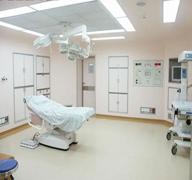 Export Operation Cleanroom Laminar Air Flow Ceiling System