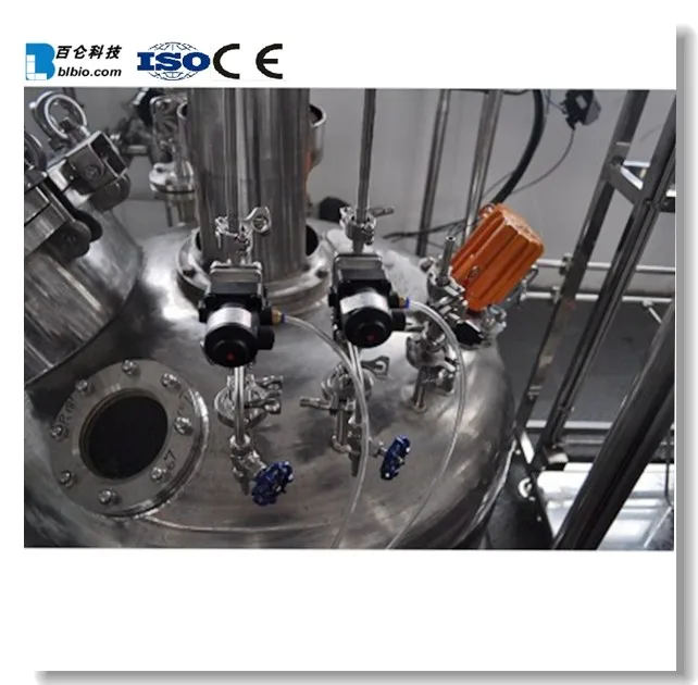 Fermenter/pilot Scale Fermentor/bioreactor/ Fermentation - Buy Jacketed ...