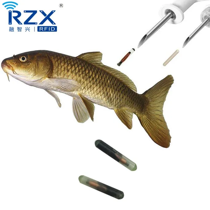 1.4*8mm Micro Rfid Chip 134.2khz Em4305 Glass Rfid Animal Tag For Fish ...