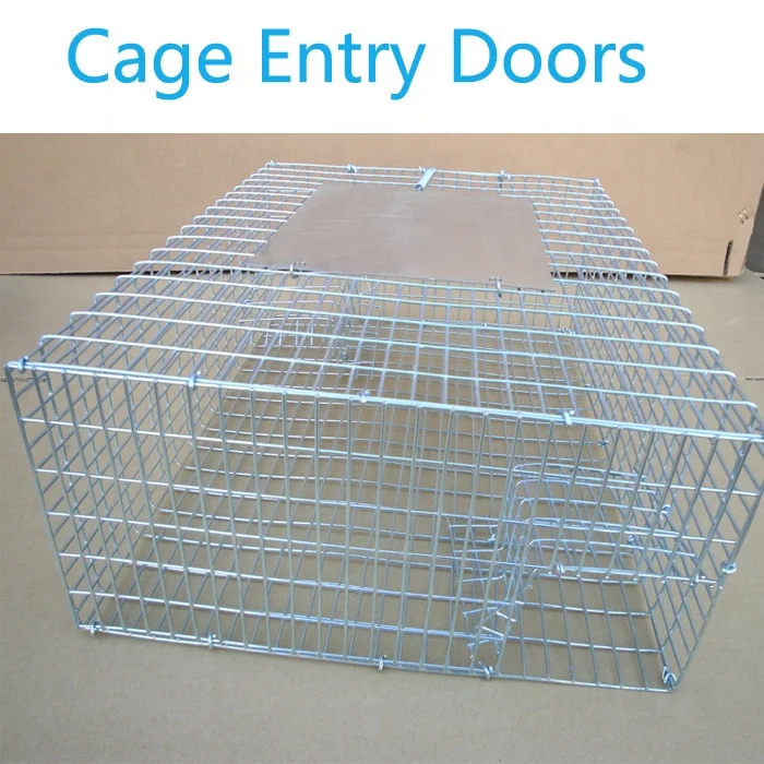 Tauben Lieferanten - Efficient Bird Control Solutions