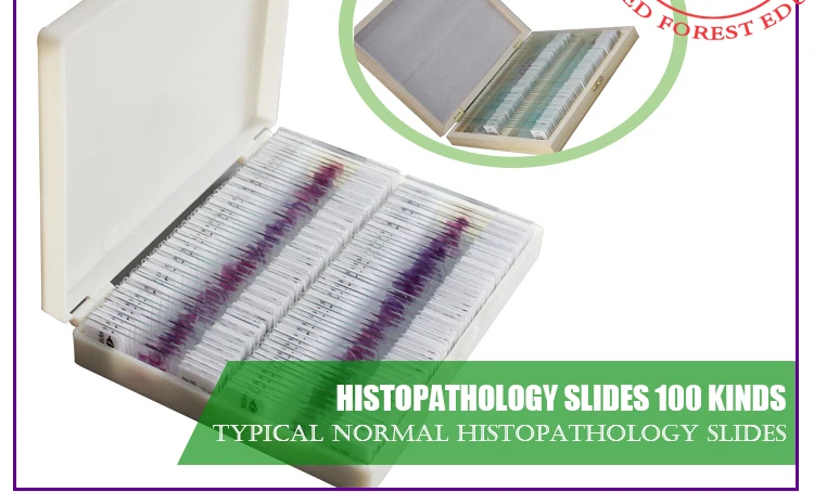 Slide Pathology Medicine Educational FRT2002 Human Slides