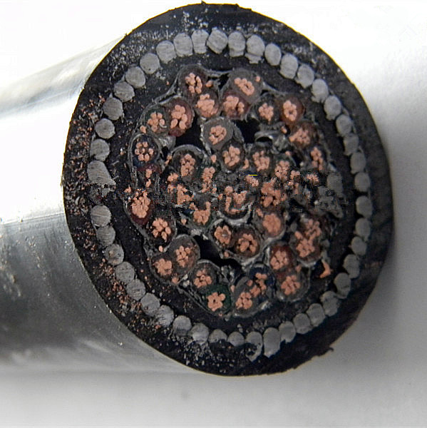 Shielded Instrument Cable Twisted Pair Cu 1.5qmm Xlpe Instrument Cable ...