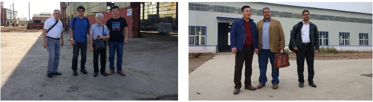 Elegant Camouflage Antenna Pine Tree Steel Telecom Tower