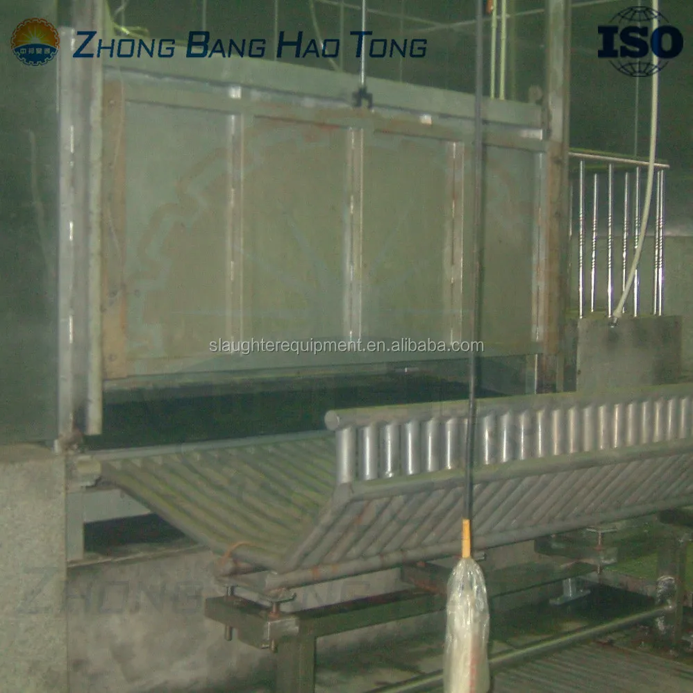 Cattle Ritual Killing Box With Installed Cattle Catcher In Cattle ...