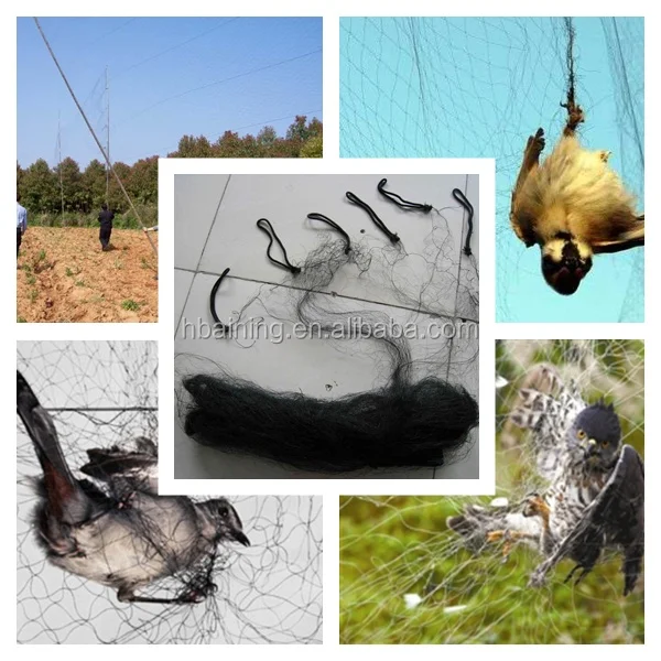 Bird Nets For Catching Birds/bird Mist Net - Buy Bird Nets For Catching ...