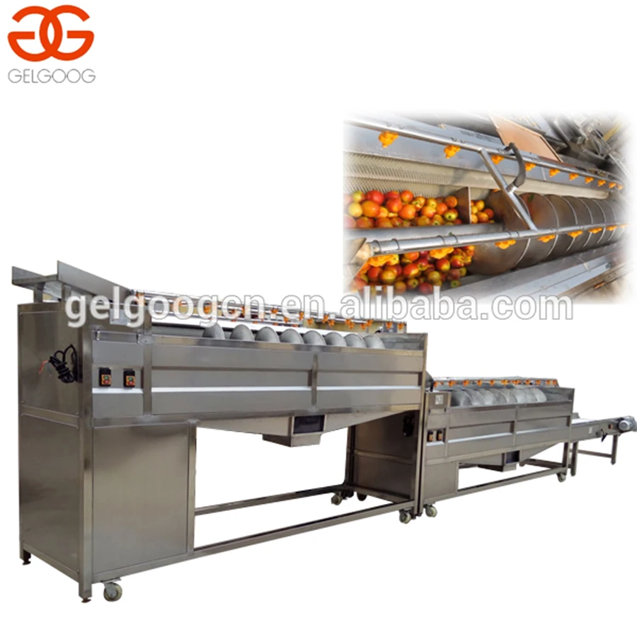 Brush Type Avocado Washing Machine - High Efficiency & Quality