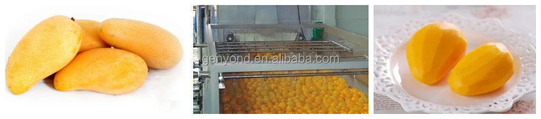 Efficient Mango Slicing Machine by Genyond - High Capacity