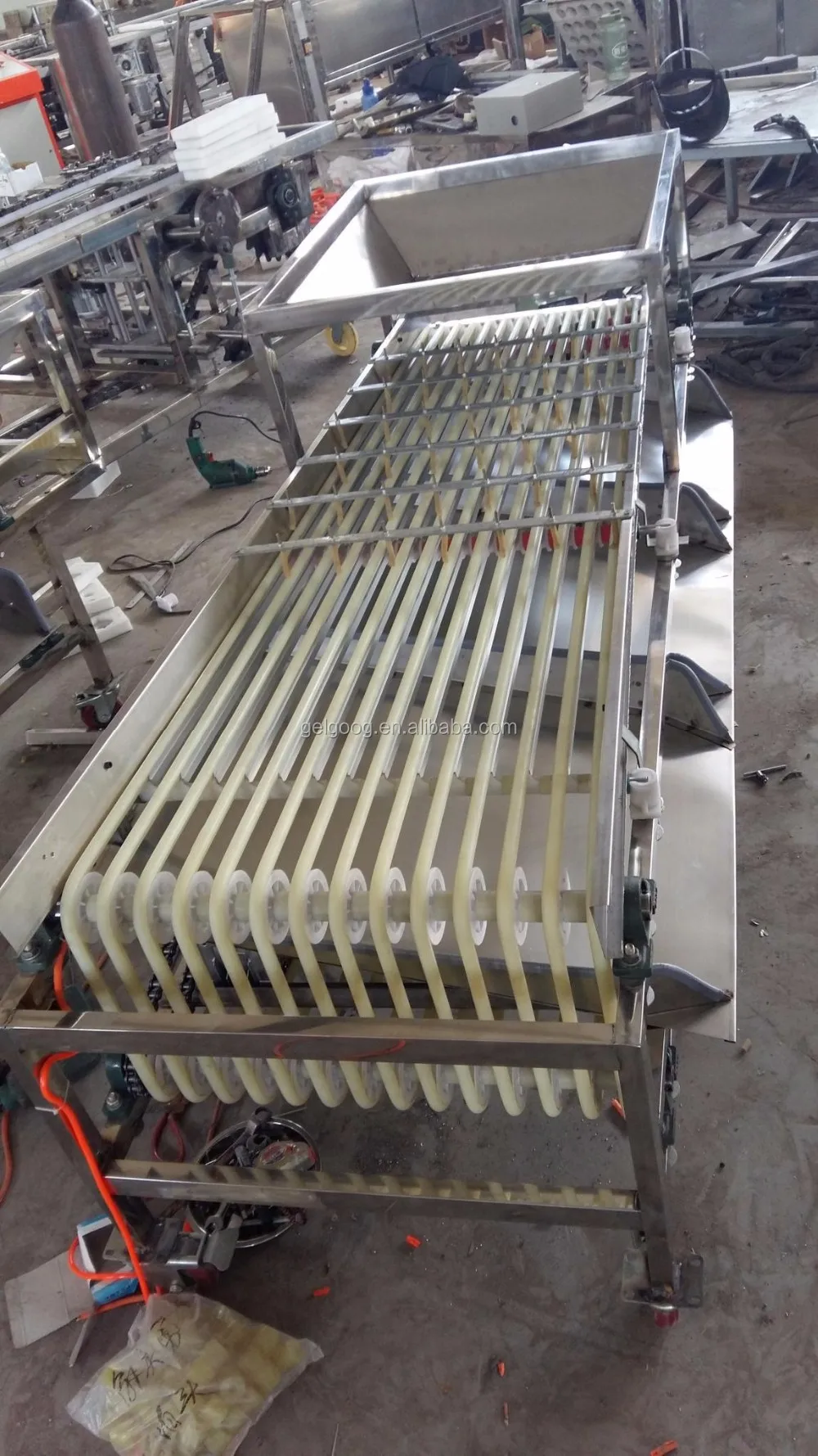 Stainless Steel Blueberry Sorting Machine - Best Price