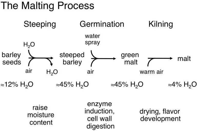 Automatic Malting Equipment Specialist Malting Barley Germination Box ...