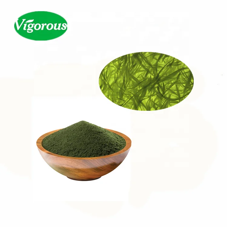 Pure Natural Free Sample Blue Green Algae AFA Extract Powder
