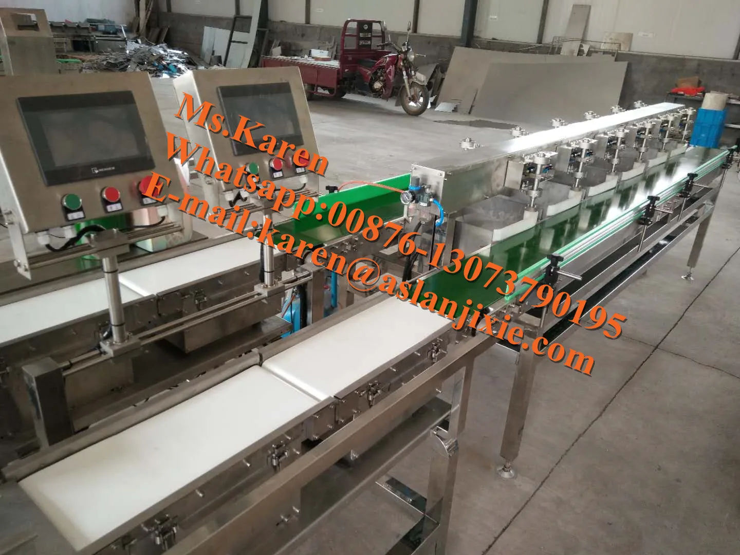 Automatic Fish Grader Machine - Efficient & Reliable
