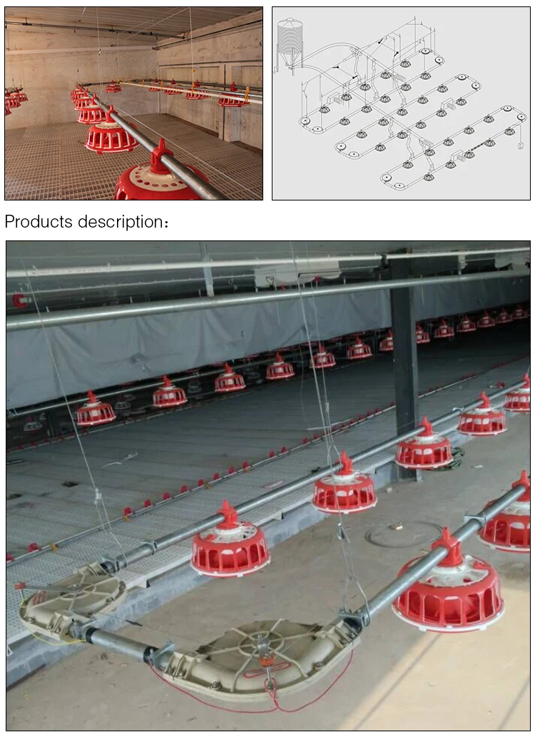 China Poultry Equipment Chain Feeding System For Female Breeder ...