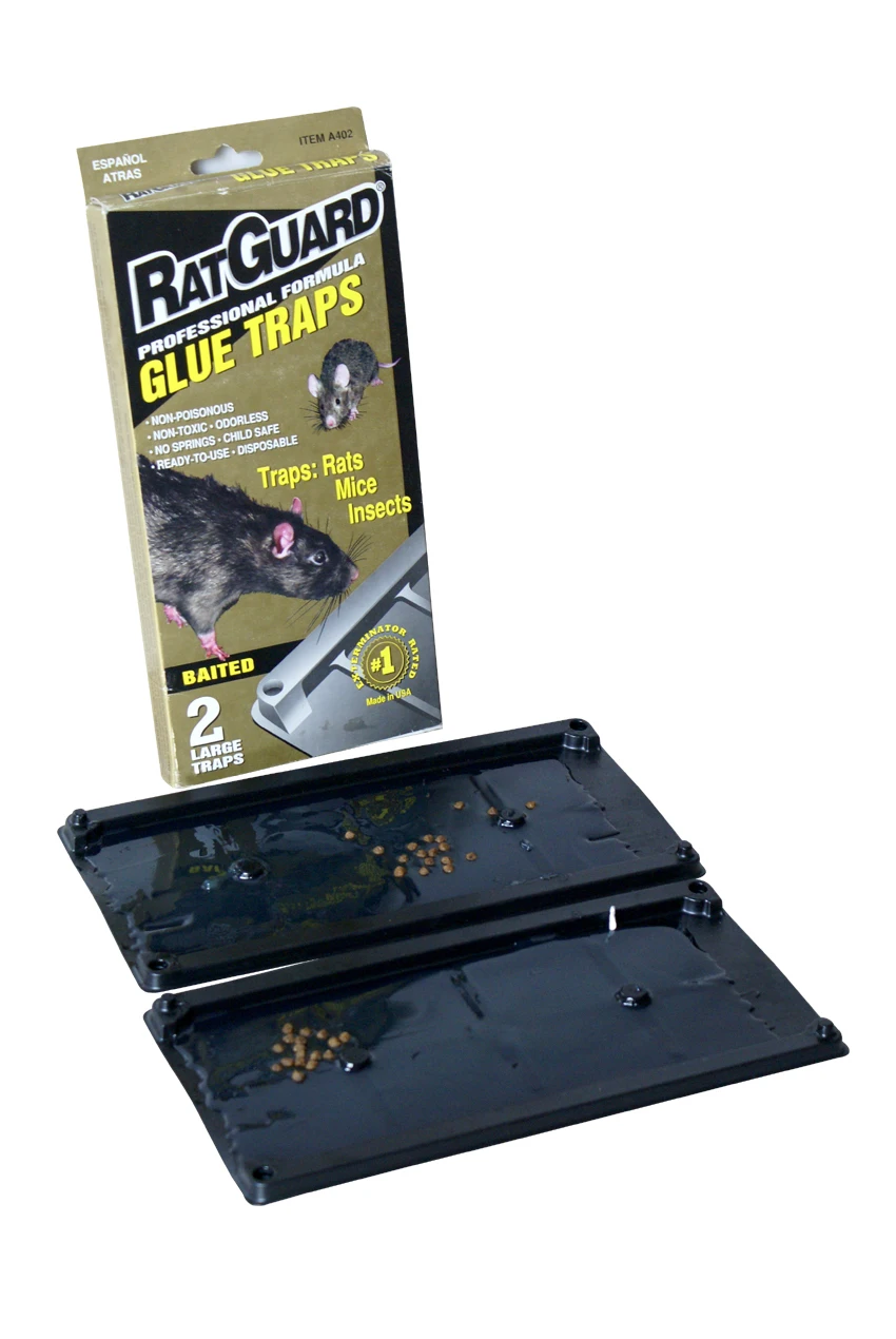 Bstw Plastic Stick Rat Super Glue Rat Glue Board - Buy Humane Mouse ...