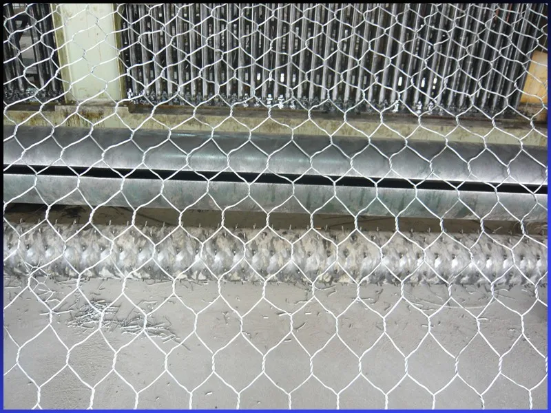 Elector Galvanized Hexagonal Wire Mesh/hot Dip Galvanized Hexagonal ...