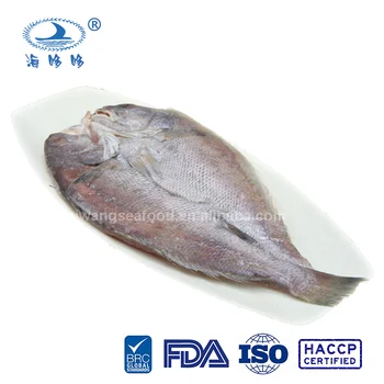 Seafood Frozen Fish Brown Croaker Fillet For All Market Miichthys Miiuy ...
