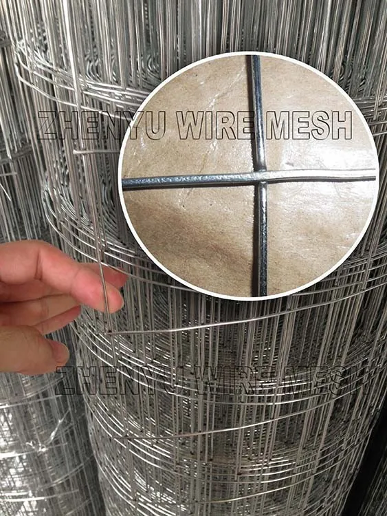 Hot Dipped Galvanized Welded Wire Mesh Rolls From Anping Factory - Buy Welded Wire Mesh ...