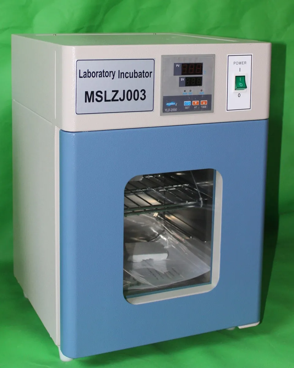 Suhu Stabil Electrothermal Inkubator Laboratorium Mslzj003-007 - Buy ...