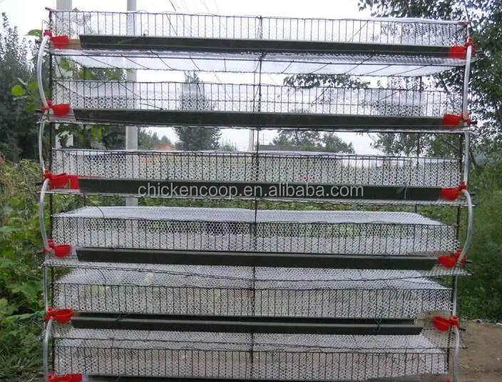 Jinmuren Automatic Quail Cage And Quail Farming Equipment - Buy Quail ...