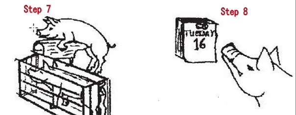 Dummy Sow For Pig/boar Animal Artificial Insemination(dummy Sow-a5 ...