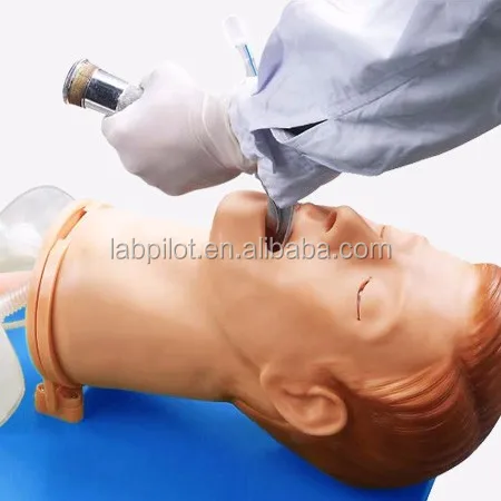 Comprehensive Airway Model,High Quality Intubation Training Simulator ...