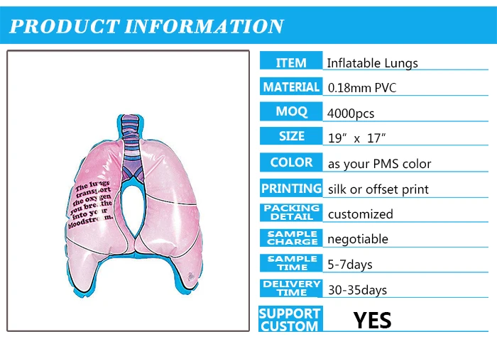Custom Made Promotional Inflatable Lungs Plastic Portable Lungs Body ...