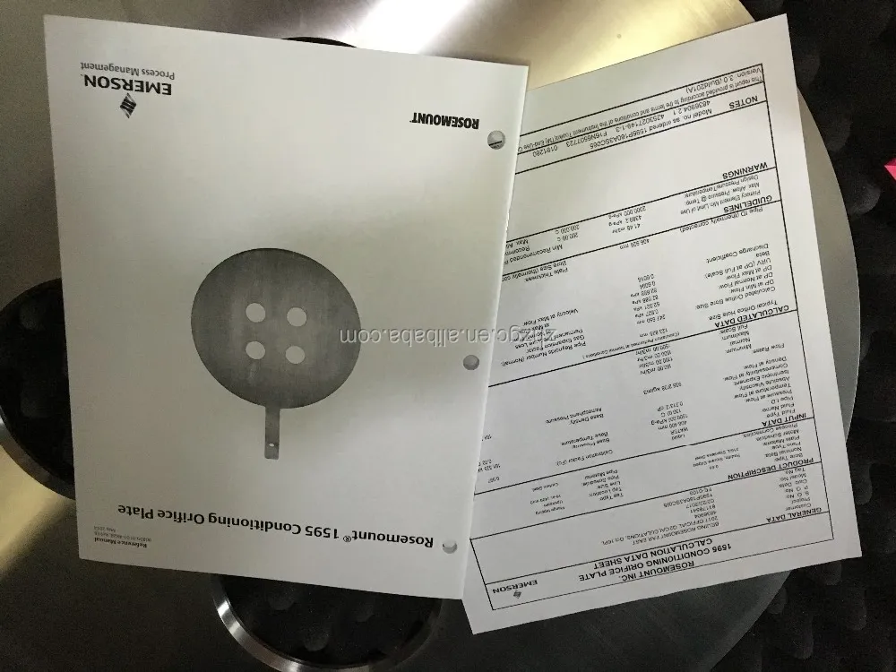 1595 Conditioning Orifice Plate - Precision & Reliability