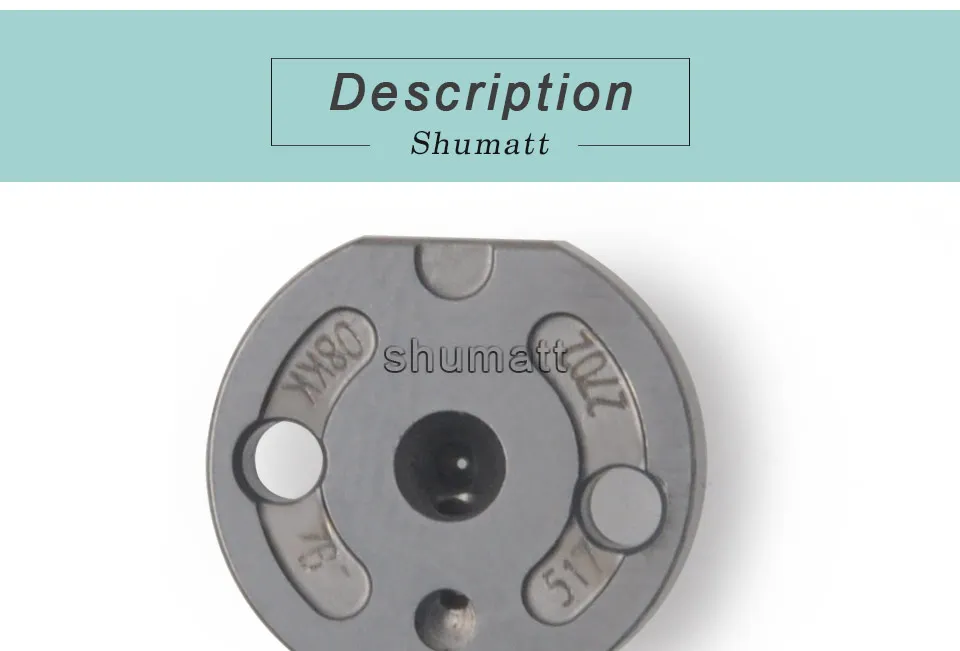 Pump Orifice Plate & Injector Plate for Common Rail Valves