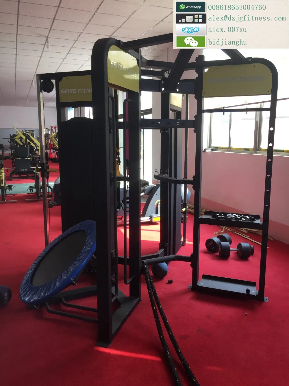 Commercial Gym Equipment Crossfit Rack / Crossfit Rig Synergy 360 C360a ...