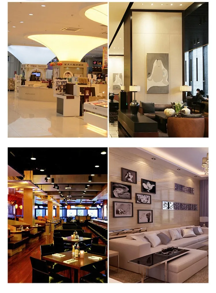 Double-color LED Panel Lights - Efficient Indoor Lighting