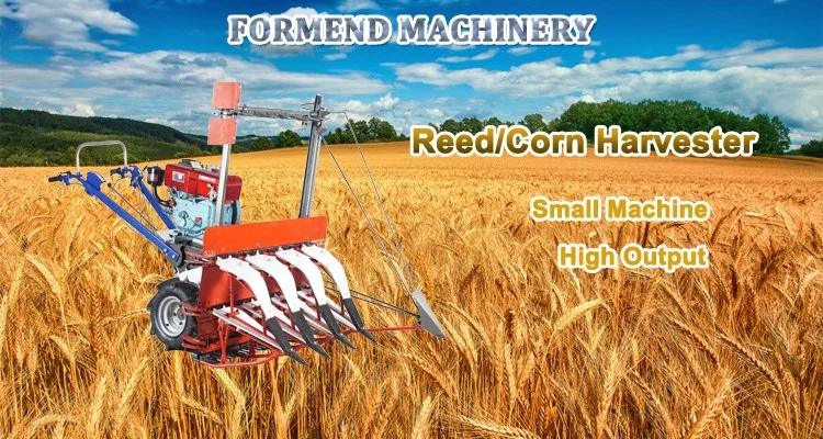 2020 New Model 4G120 Reed Cutting Machine - High Productivity