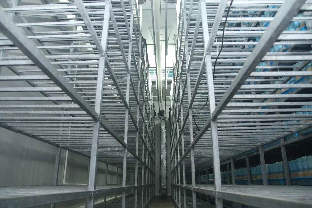 Cultivation Cold Storage - Ideal Mushroom Storage Solutions