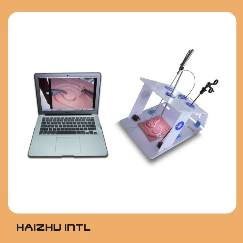 Laparoscopic Trainer Box with Laparoscopic Training Instruments ...