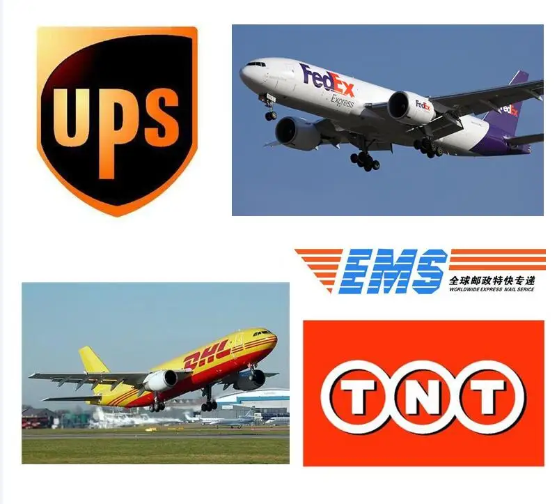 Bix-a1100 Human Full Body Muscle Anatomical Model With Viscera - Buy ...