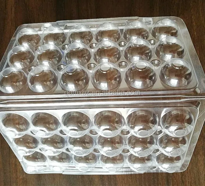Plastic Quail Egg Trays - Efficient and Disposable Packaging