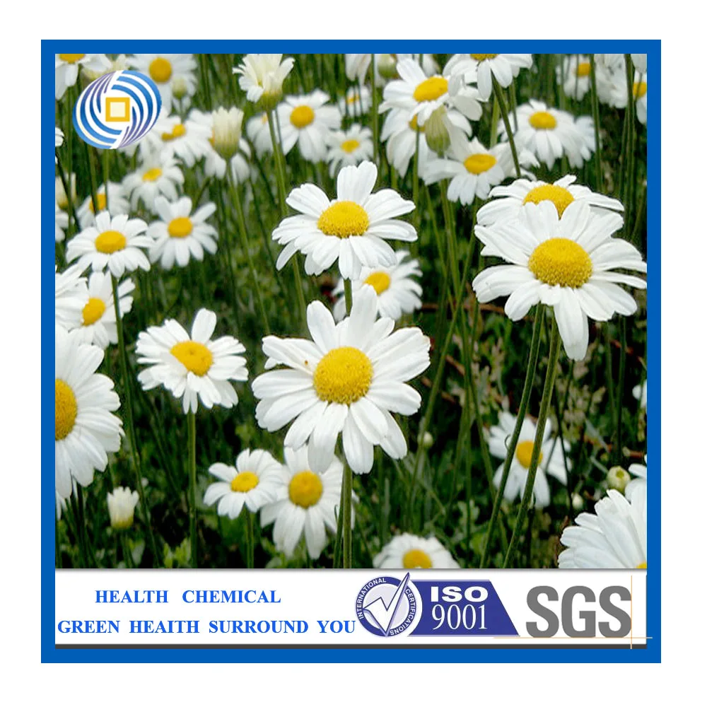 Pyrethrum Extract 25%,50%,70% Pyrethrins,Cas 8003-34-7,Organic ...