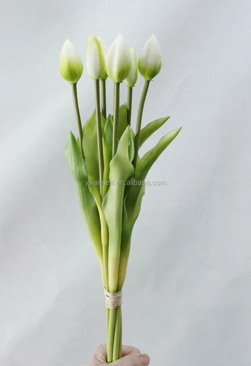 48+ Gambar Bunga Tulip Biru yang Lagi Viral - Informasi Seputar Tanaman ...